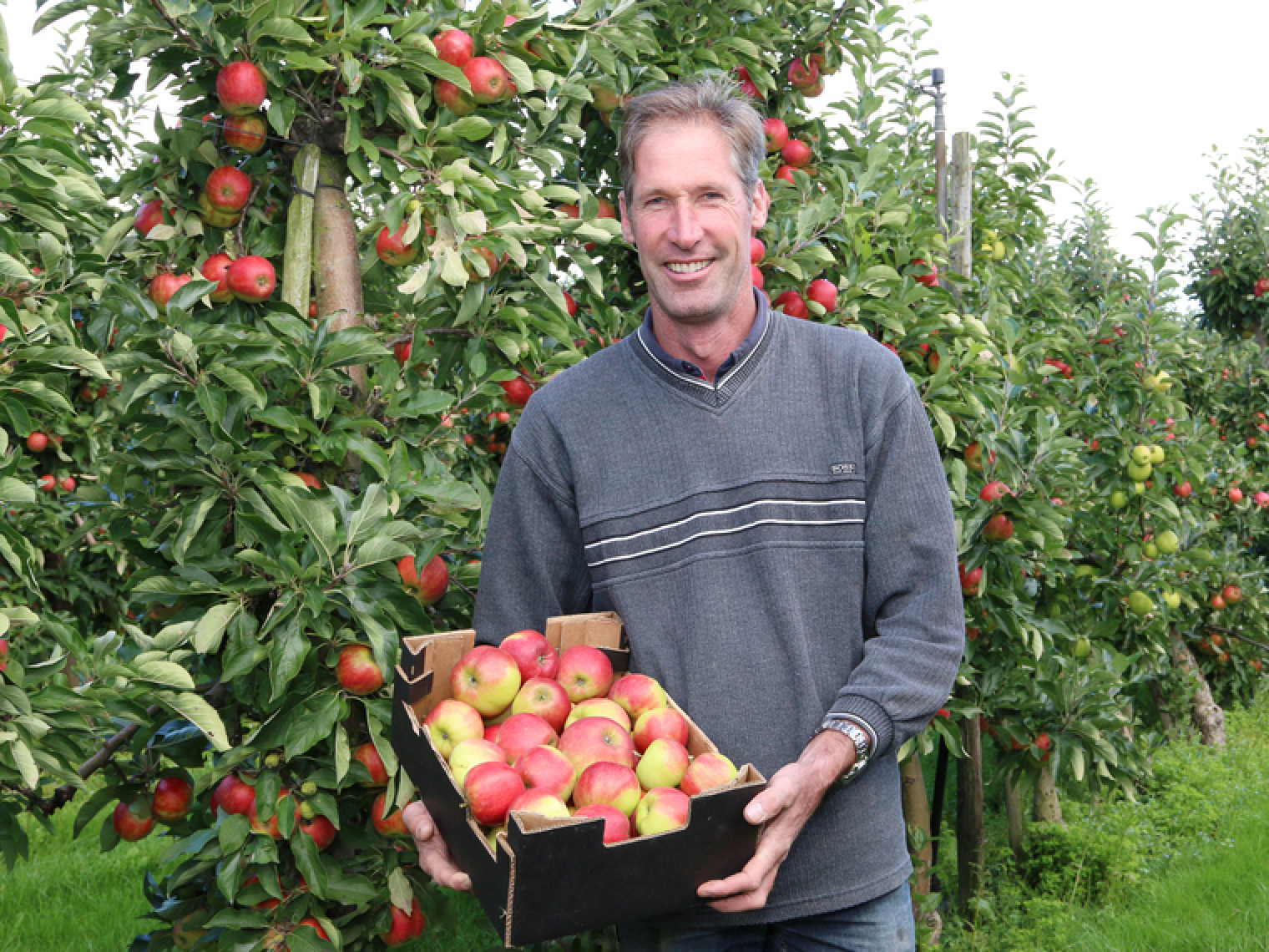 Growers - Oxin-Growers