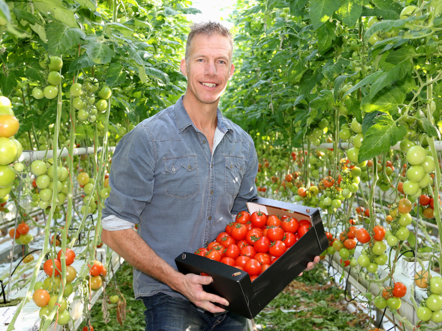 Growers - Oxin-Growers