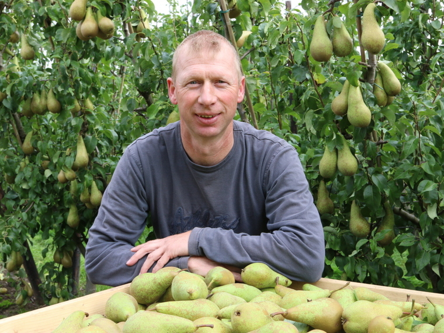 Growers - Oxin-Growers