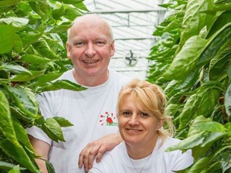 Telers - Oxin-Growers