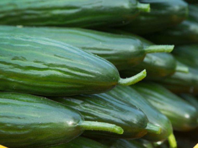 Growers - Oxin-Growers