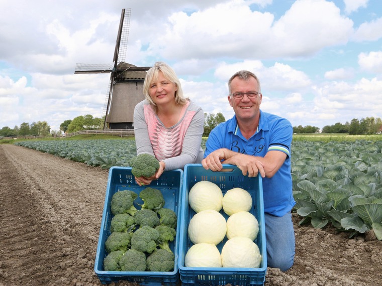 Telers - Oxin-Growers