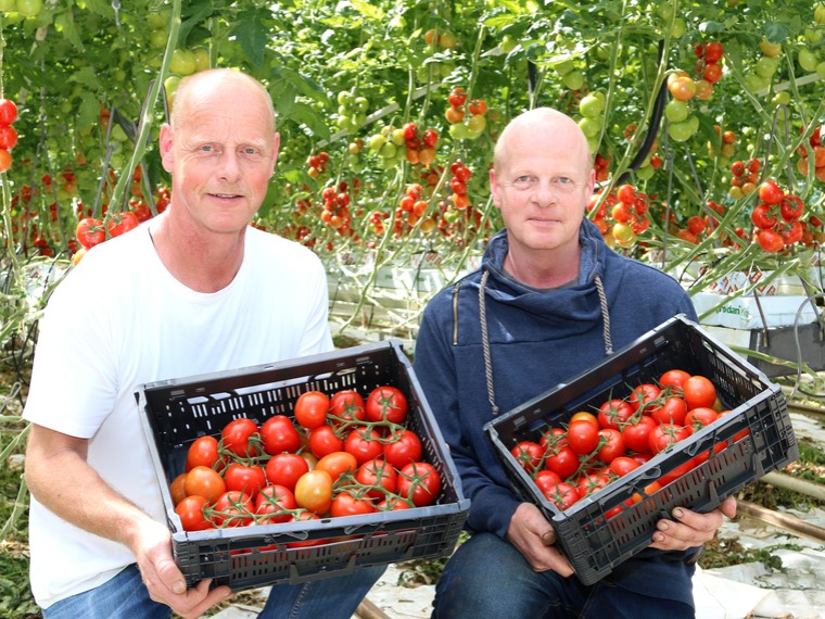 Growers - Oxin-Growers