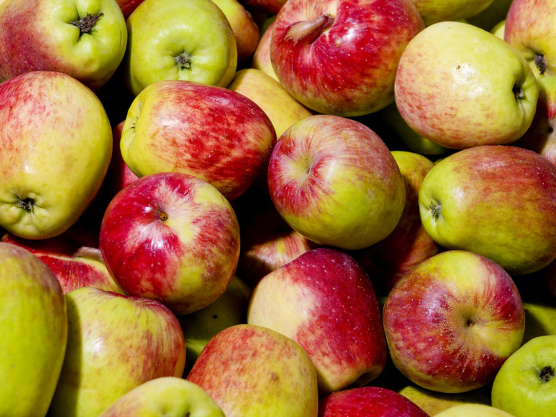 Pome fruit - Oxin-Growers